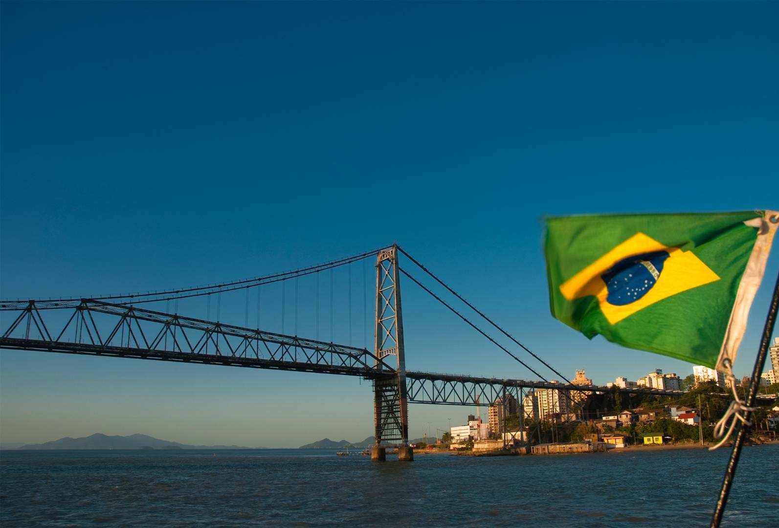 The Renaissance of Cocoa Farming in Brazil - Peirot